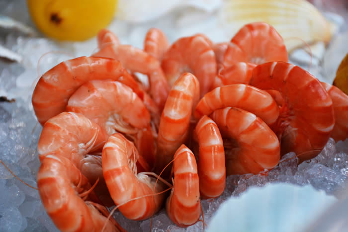 Belles crevettes roses BIO - Vin et Marée